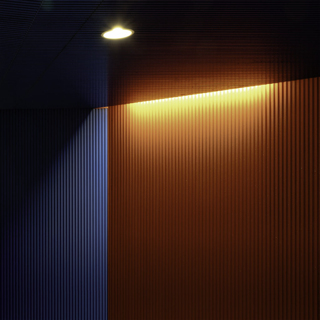 ZOU-NO-HANA FUTURESCAPE PROJECT 2024 wonder_vision